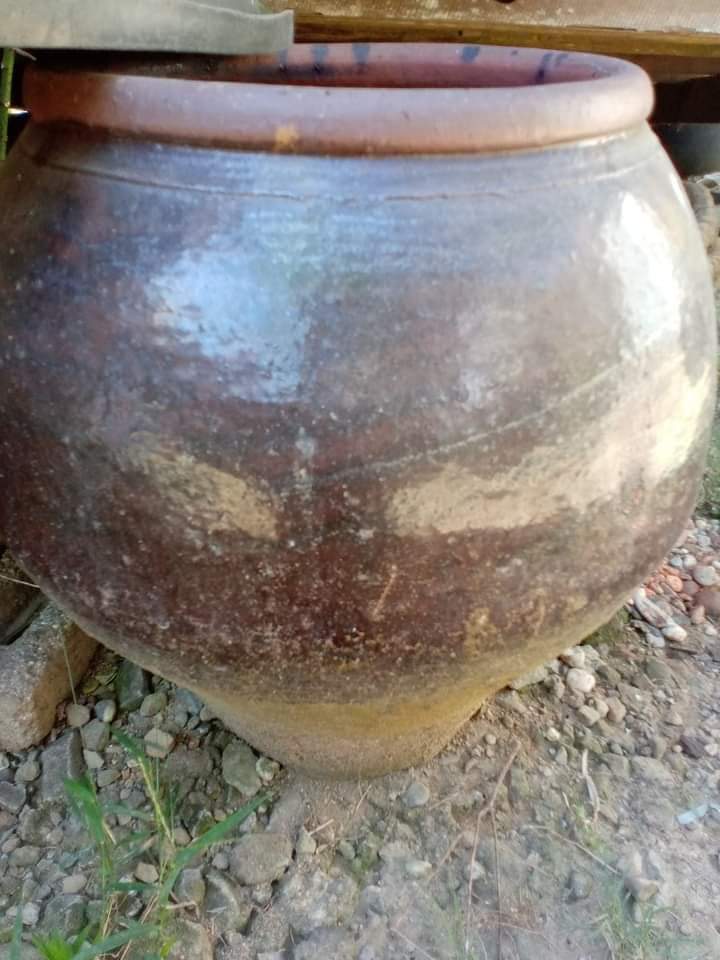 ဒေါ (စိုင့် ဒေါ) (photo) – The Mog Nation Wiki